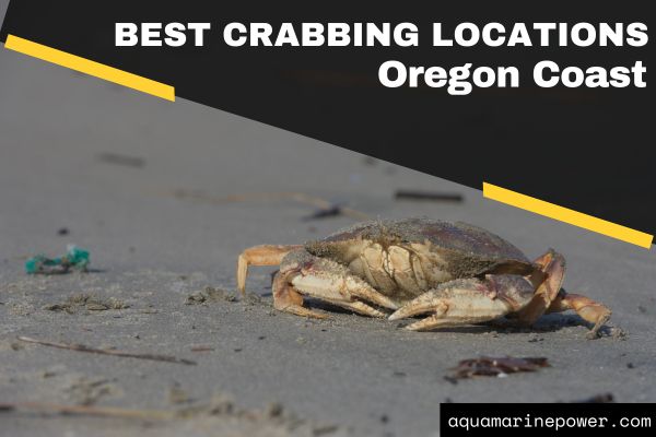 Best 12 Oregon Coast Crabbing Spots | Complete Guide of 2026