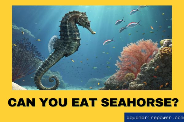 Can You Eat Seahorse? Safety, Taste & Cultural Facts | 2026