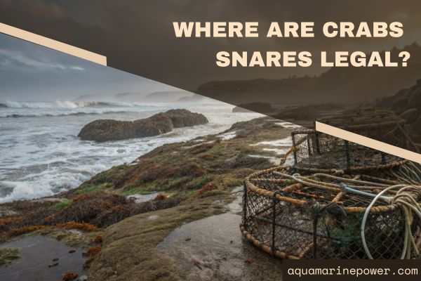 Where are Crab Snares Legal? State Guide & Laws 2026