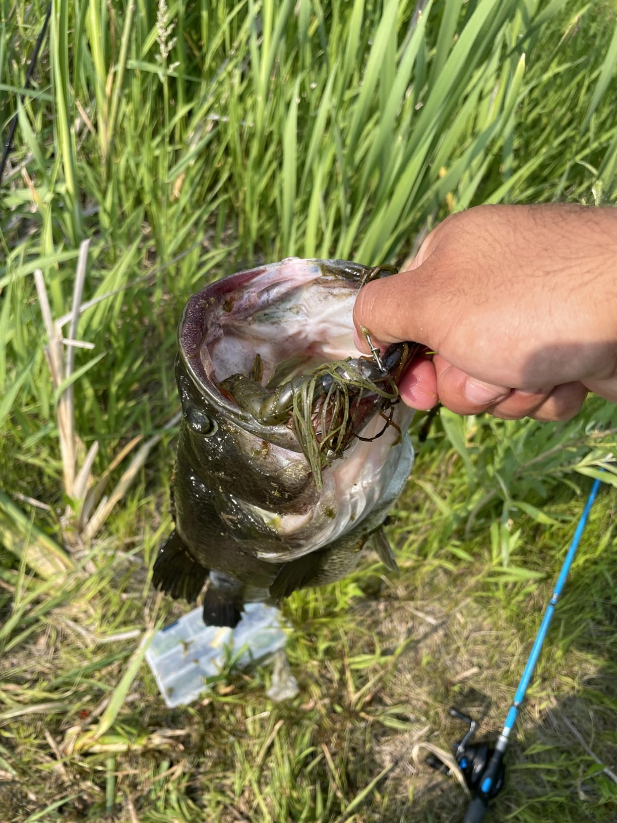 Best Jig Trailers for Bass Fishing 2026: Complete Guide