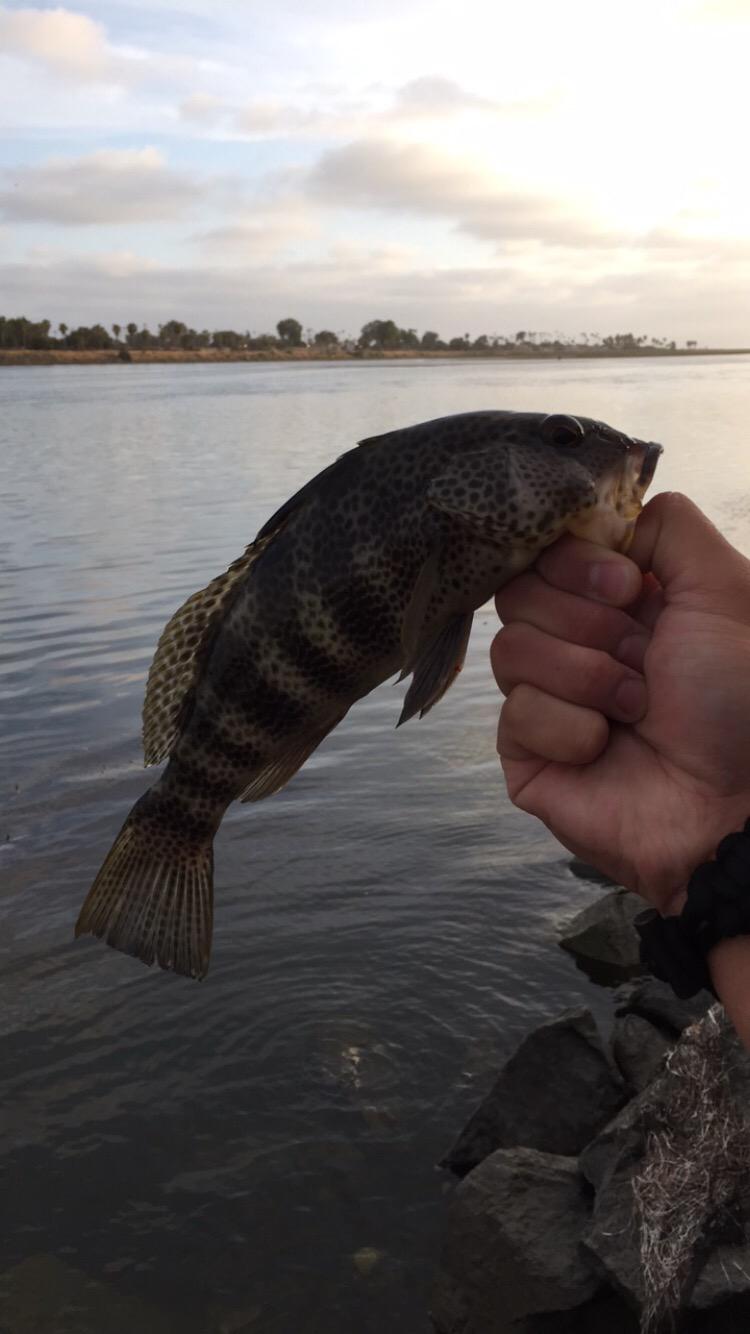 Best Graphite Fishing Rods 2025: Expert Testing & Reviews