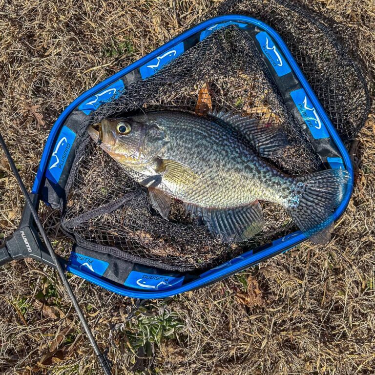 Best Fly Fishing Nets 2025: Top 11 Landing Nets Tested