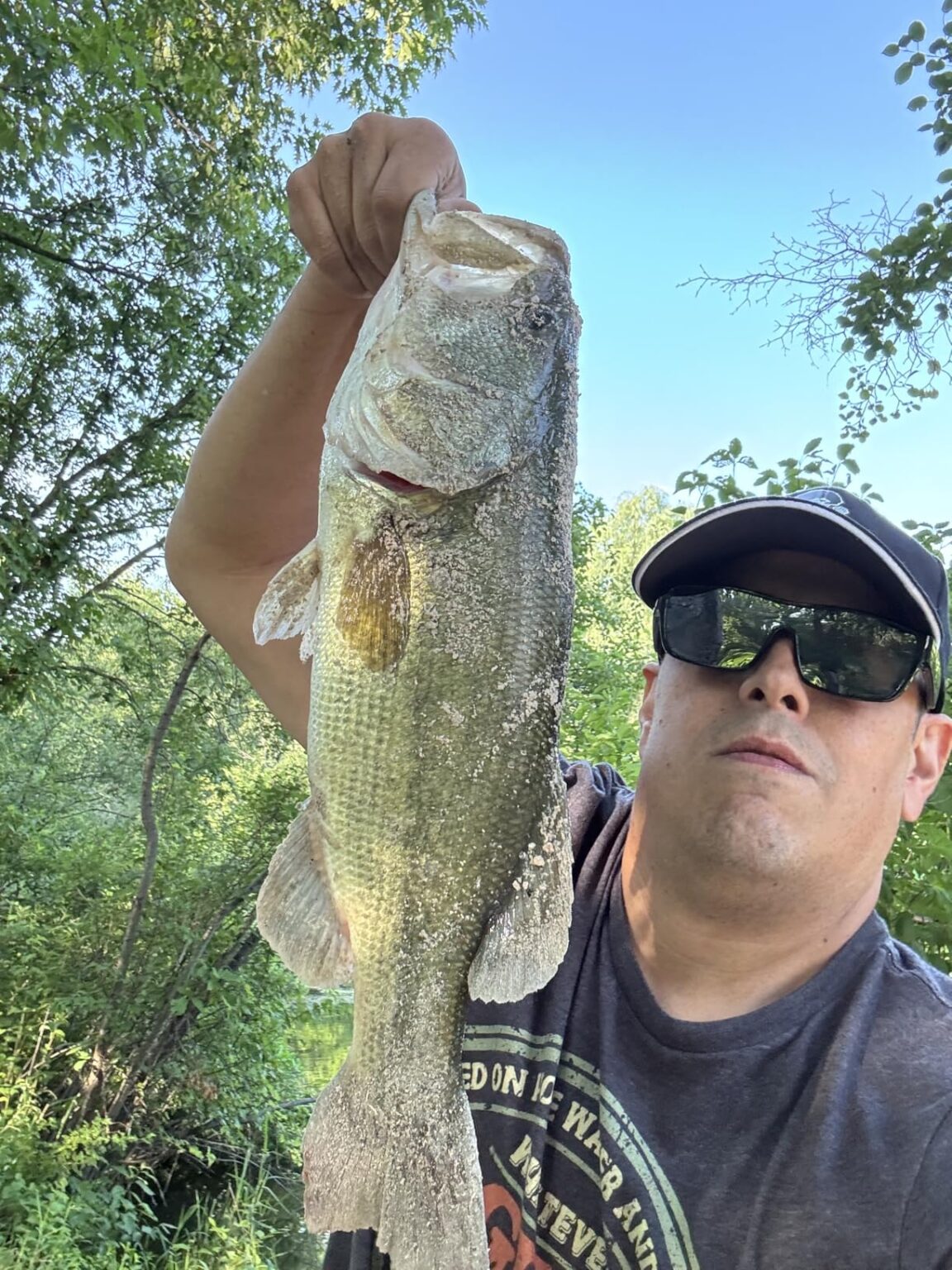 Best Perch Lures 2025: 12 Proven Options for Yellow Perch