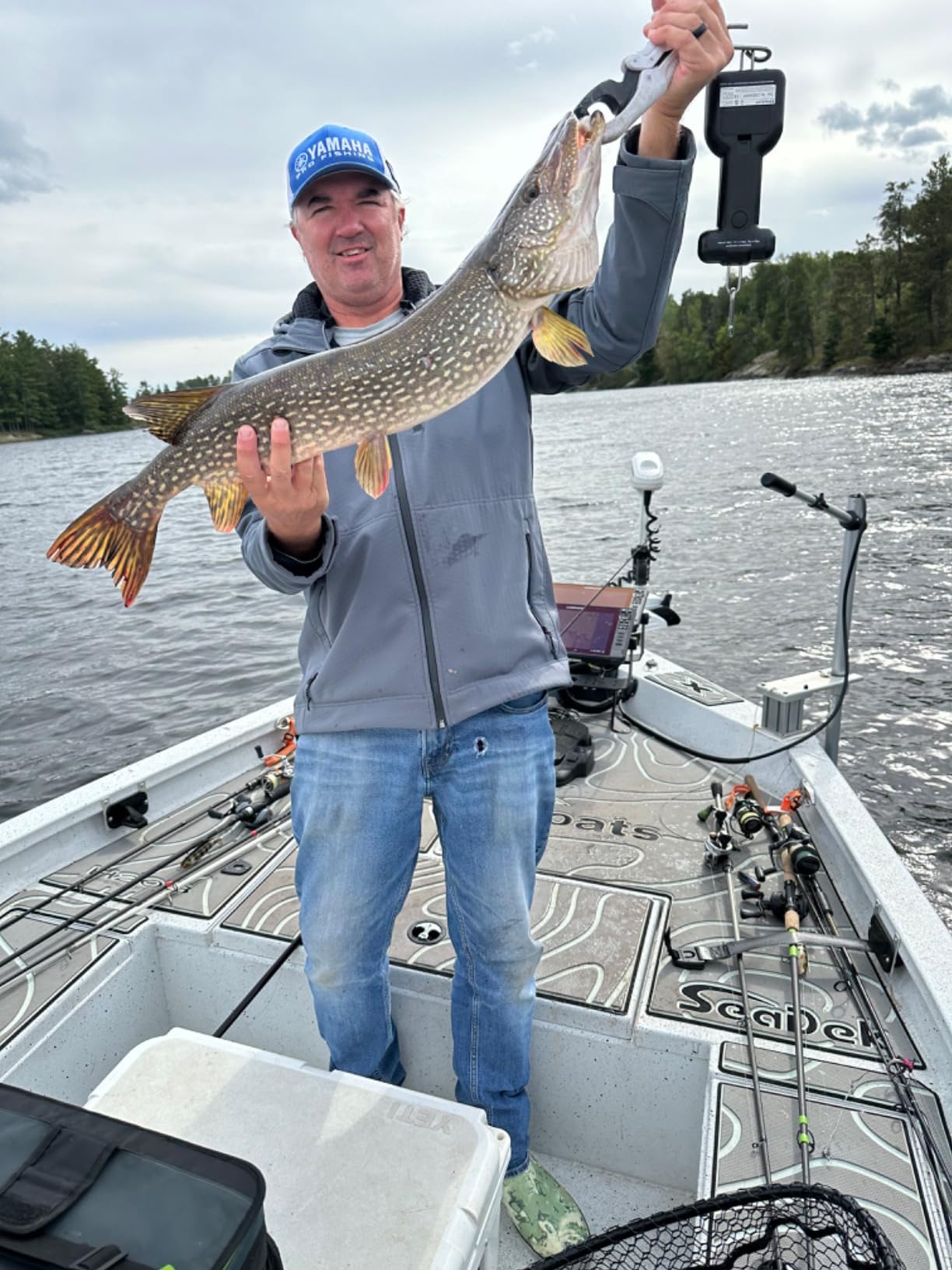Best Musky Lures 2026: Complete Guide to Landing Trophy Fish