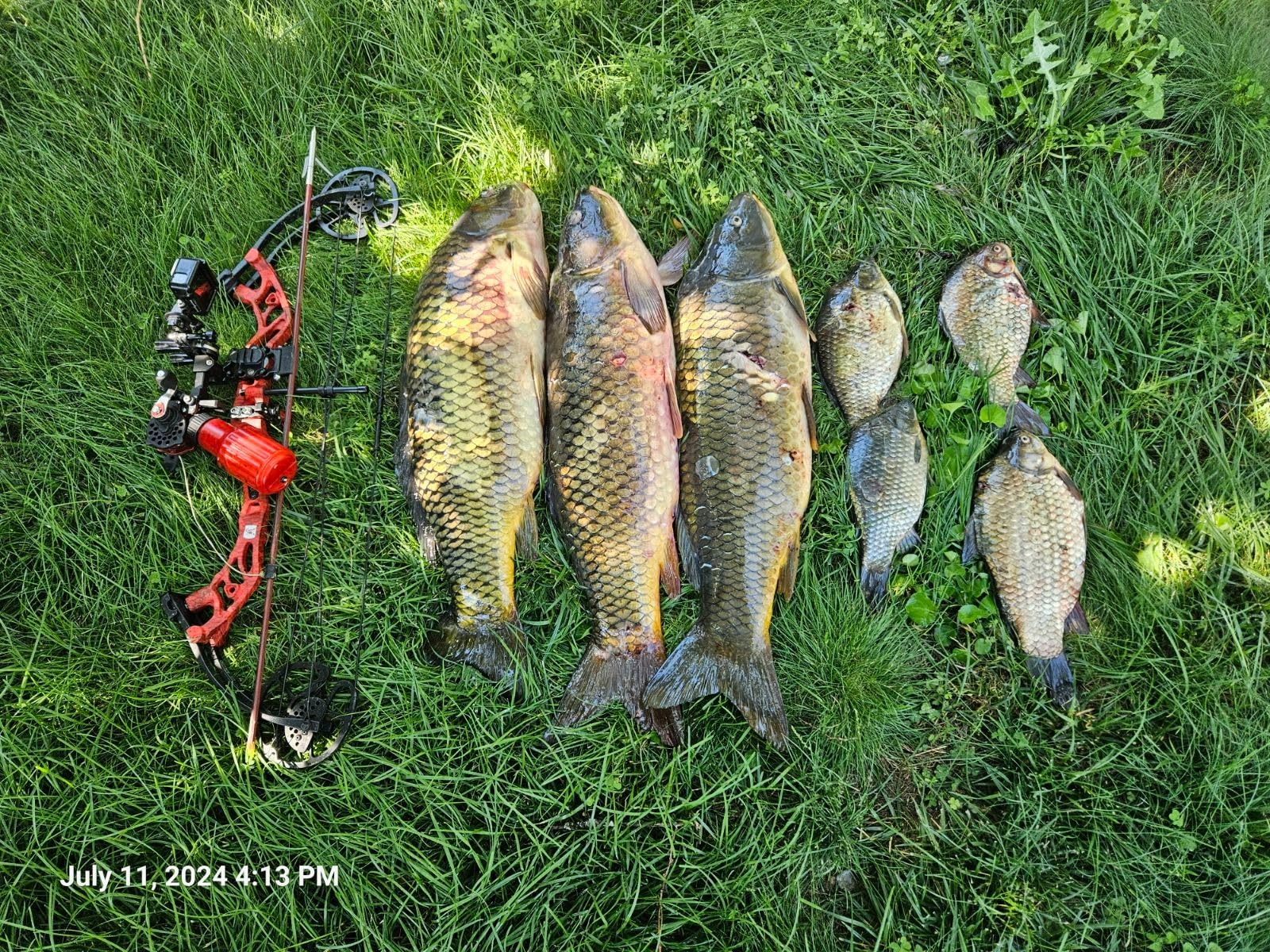 Best Bowfishing Bows 2026: Complete Guide & Reviews