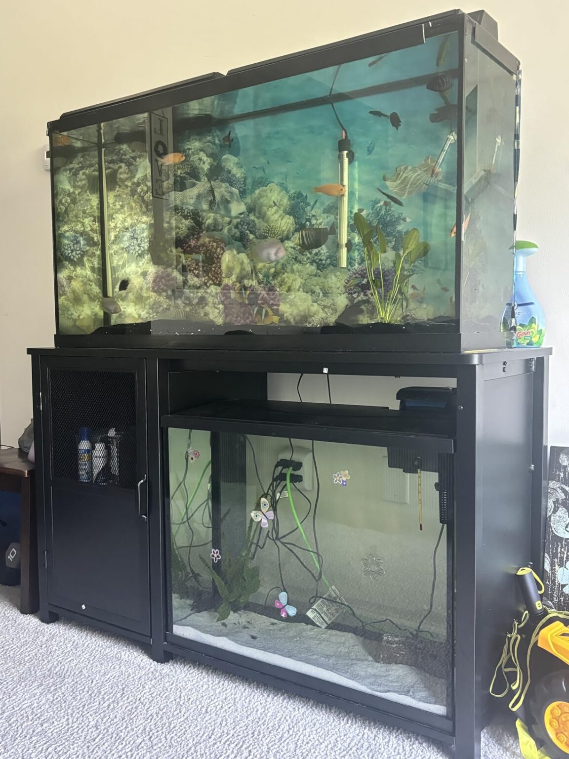 Best 75 Gallon Fish Tanks 2025: Complete Guide & Reviews