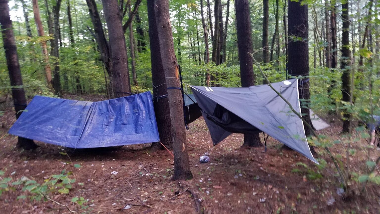Best Camping Tarps for Backpacking: 10+ Top-Rated Models Tested