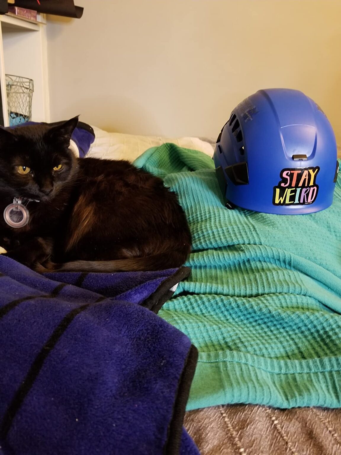 Best Caving Helmets 2026: Complete Guide for Spelunkers