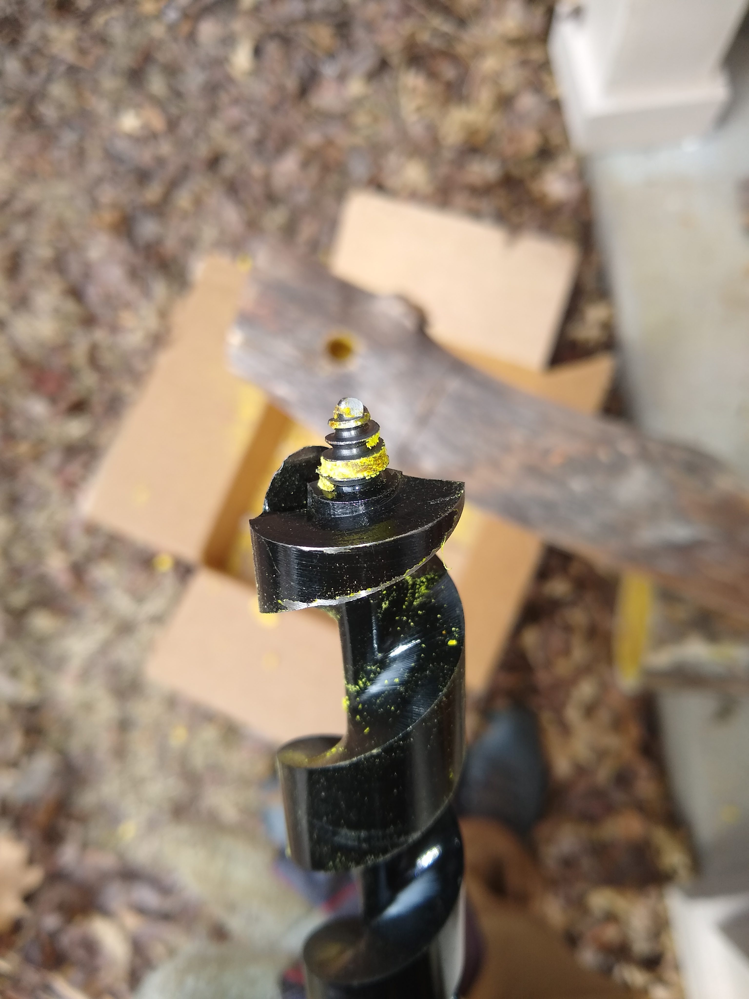 Amazing Scotch Eyed Auger: 10 Models Tested for Bushcraft & Camping